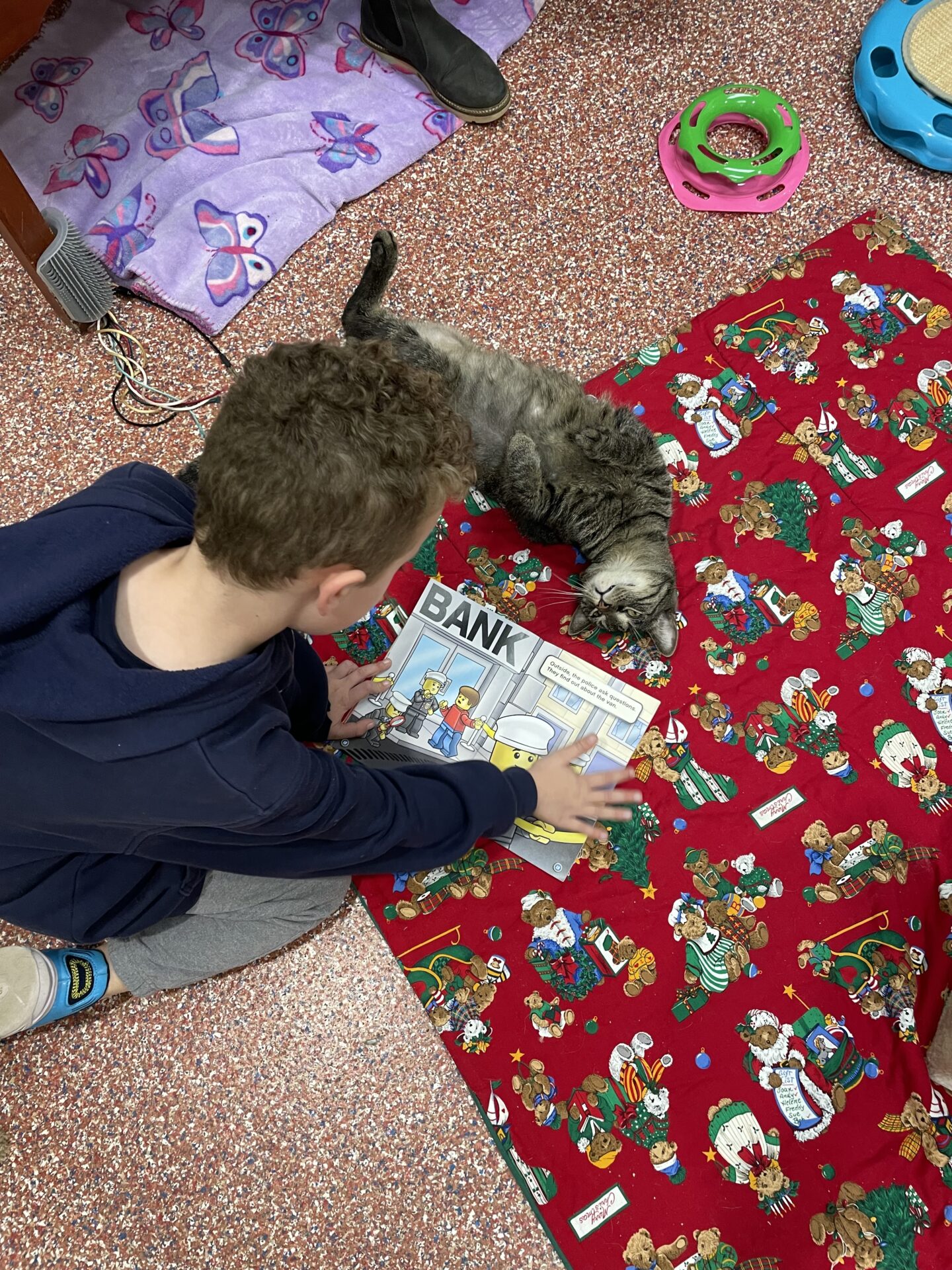 Reading With Animals Photo - NHSPCA
